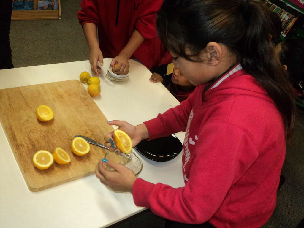 School Life – Viscount School