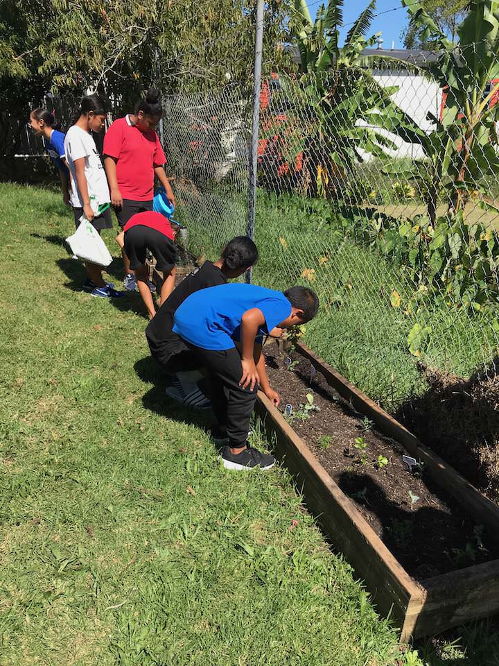 School Life – Viscount School