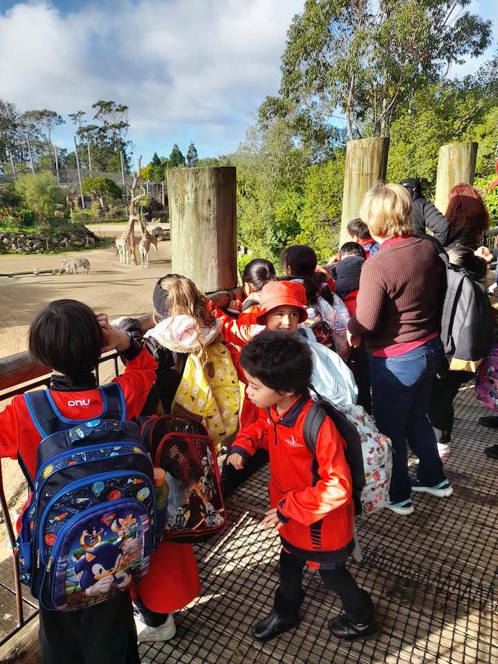 School Life – Viscount School